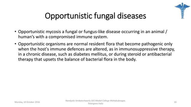 Systemic fungal infections venkat | PPTX | Infectious Diseases ...