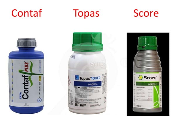 Systemic fungicides(R.D.Sowmya)2021004107.pptx | Chemistry | Science