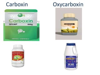 Systemic fungicides(R.D.Sowmya)2021004107.pptx