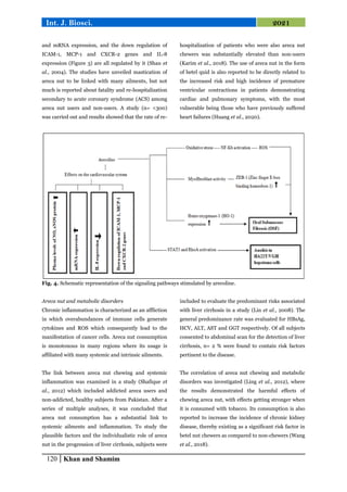Systemic health effects of areca nuts with particular emphasis on carcinogenesis – a review ijb ...