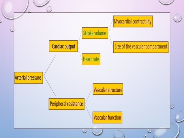 SYSTEMIC HYPERTENSION .pptx