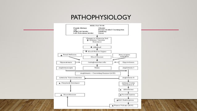 SYSTEMIC HYPERTENSION powerpoint presentation | PPT