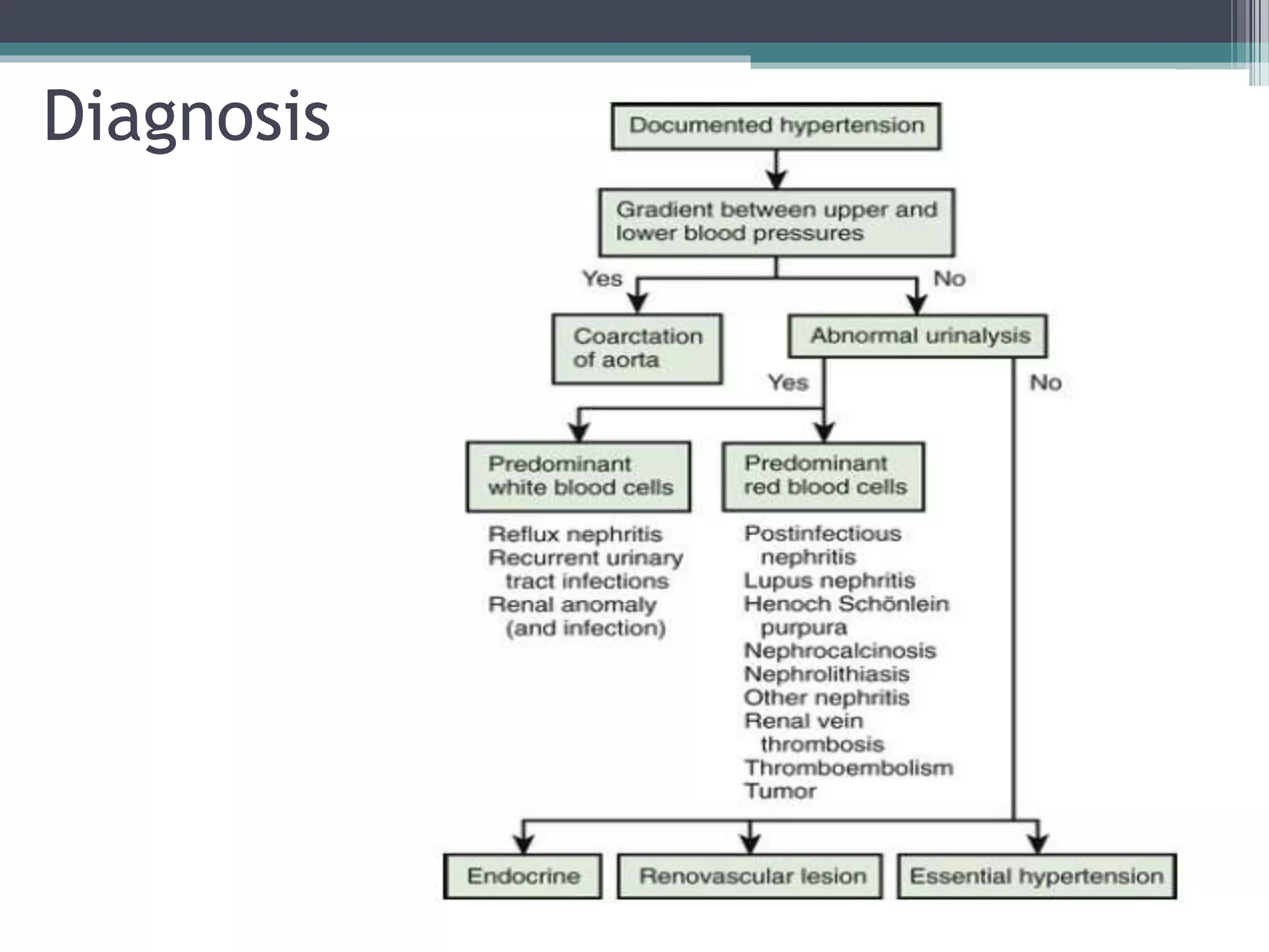 Systemic Hypertension.pptx