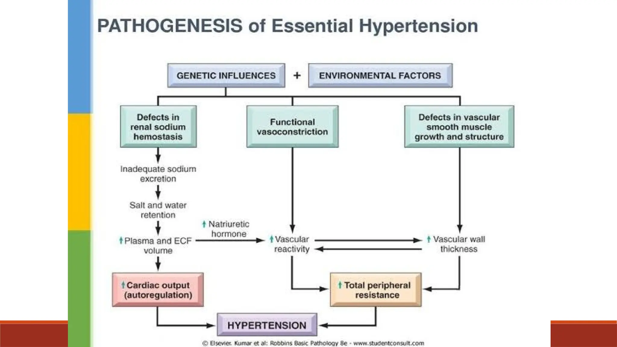 systemic hypertension - general medicine by - hardik.pptx