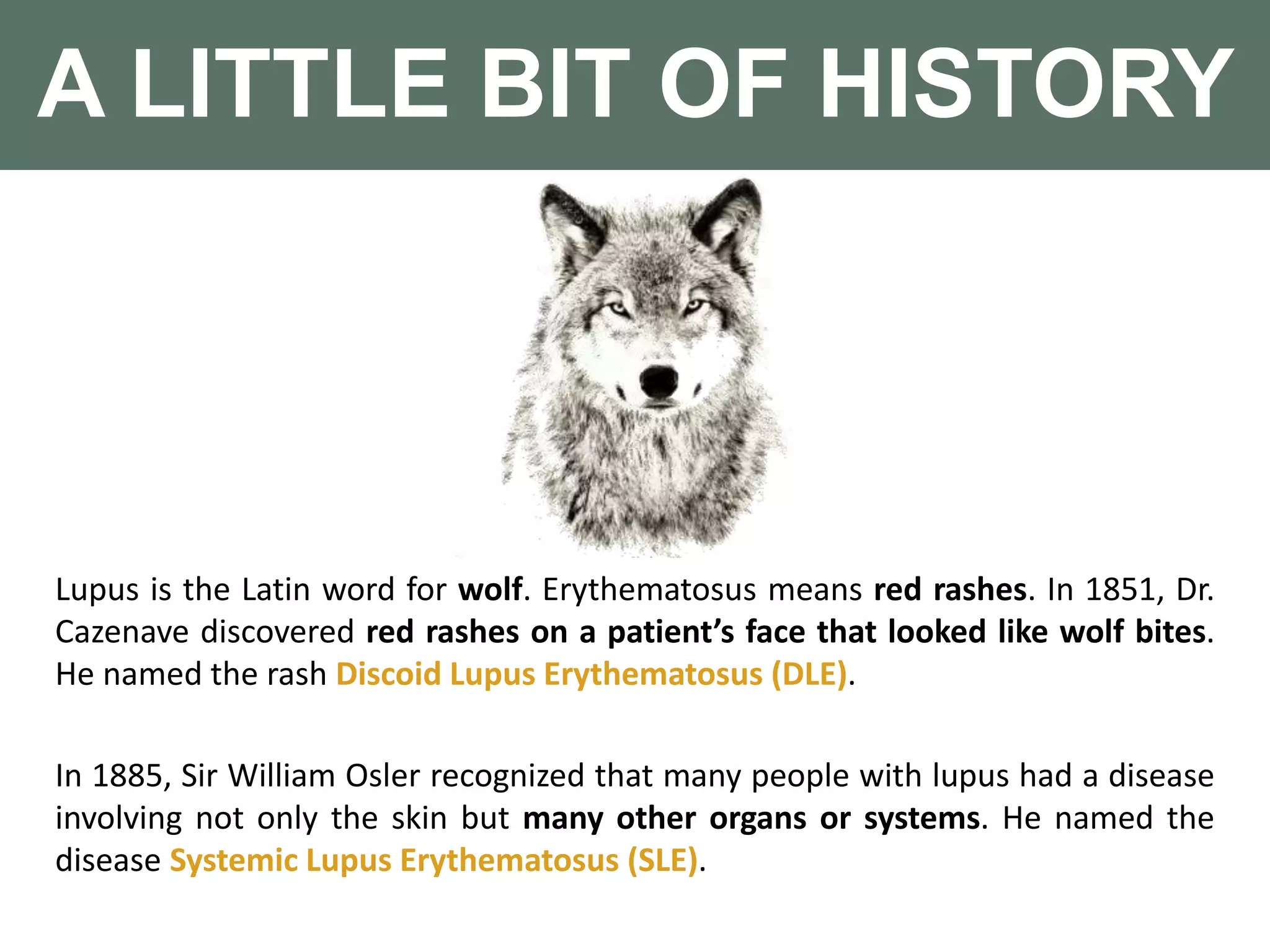 Systemic lupus erythematosus (SLE) | PPTX
