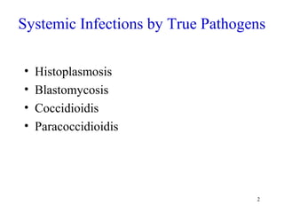 Systemic mycose | PPT