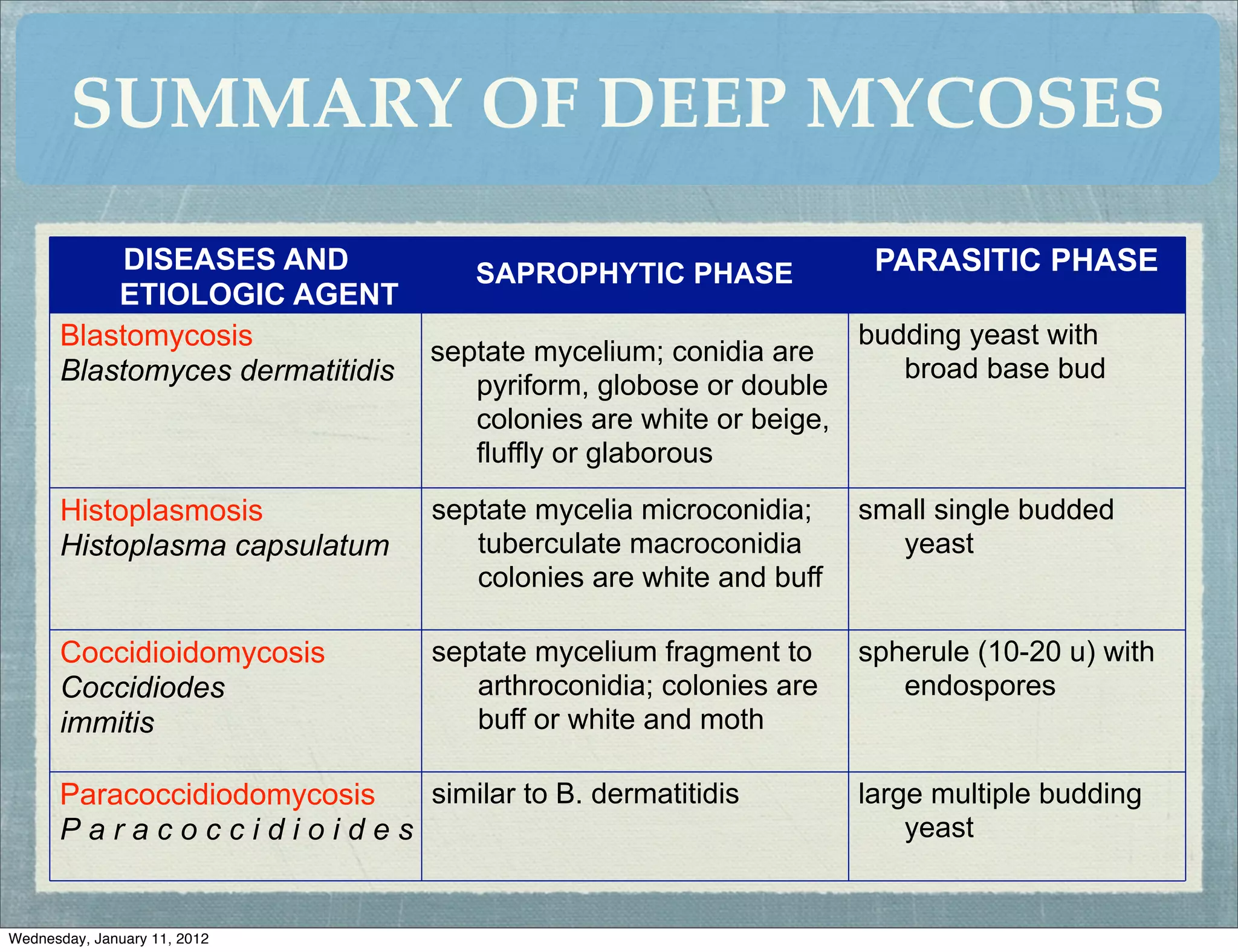 Systemic mycoses | PDF