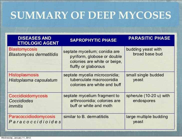 Systemic mycoses