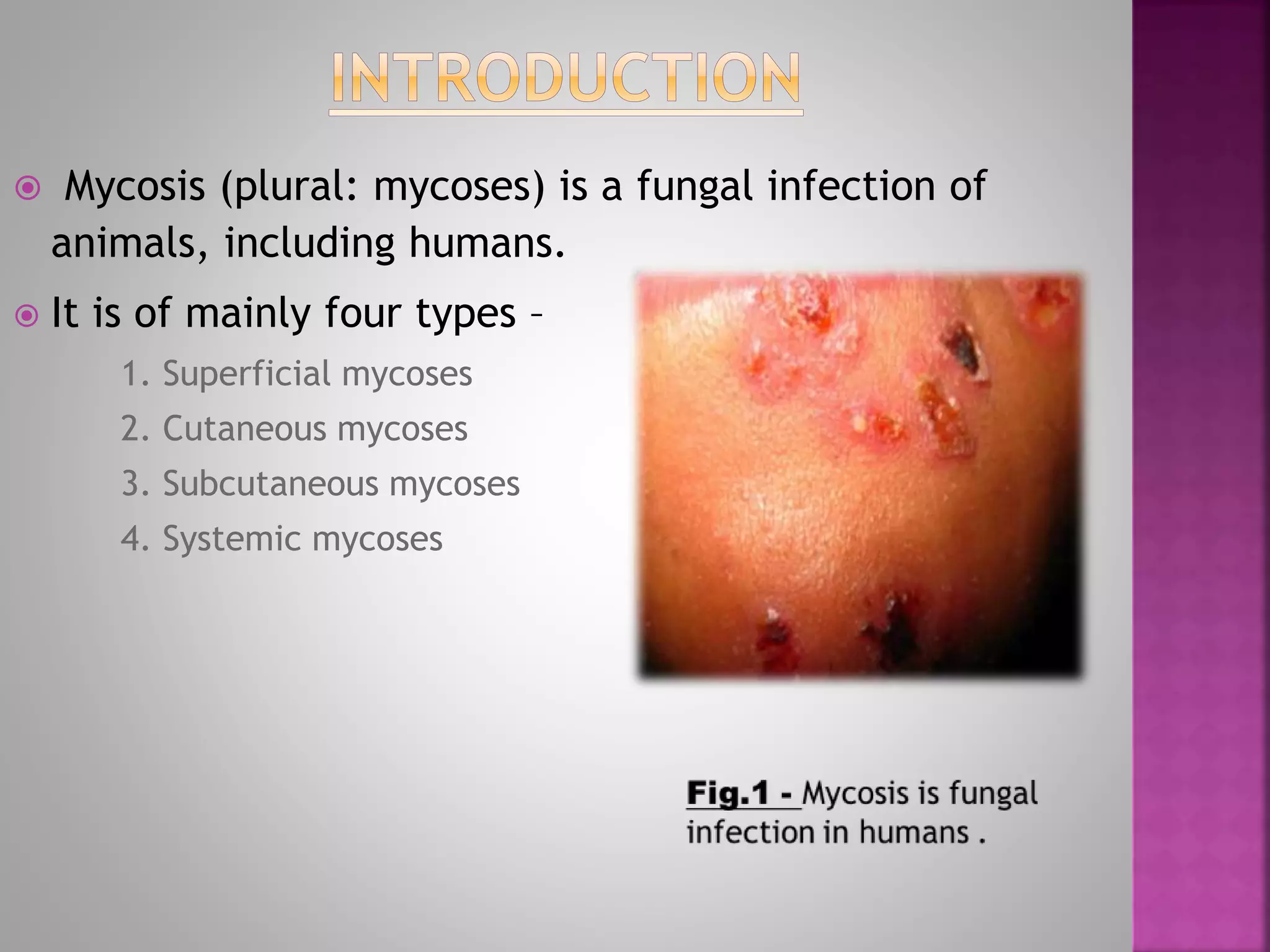 Systemic Mycoses | PPTX