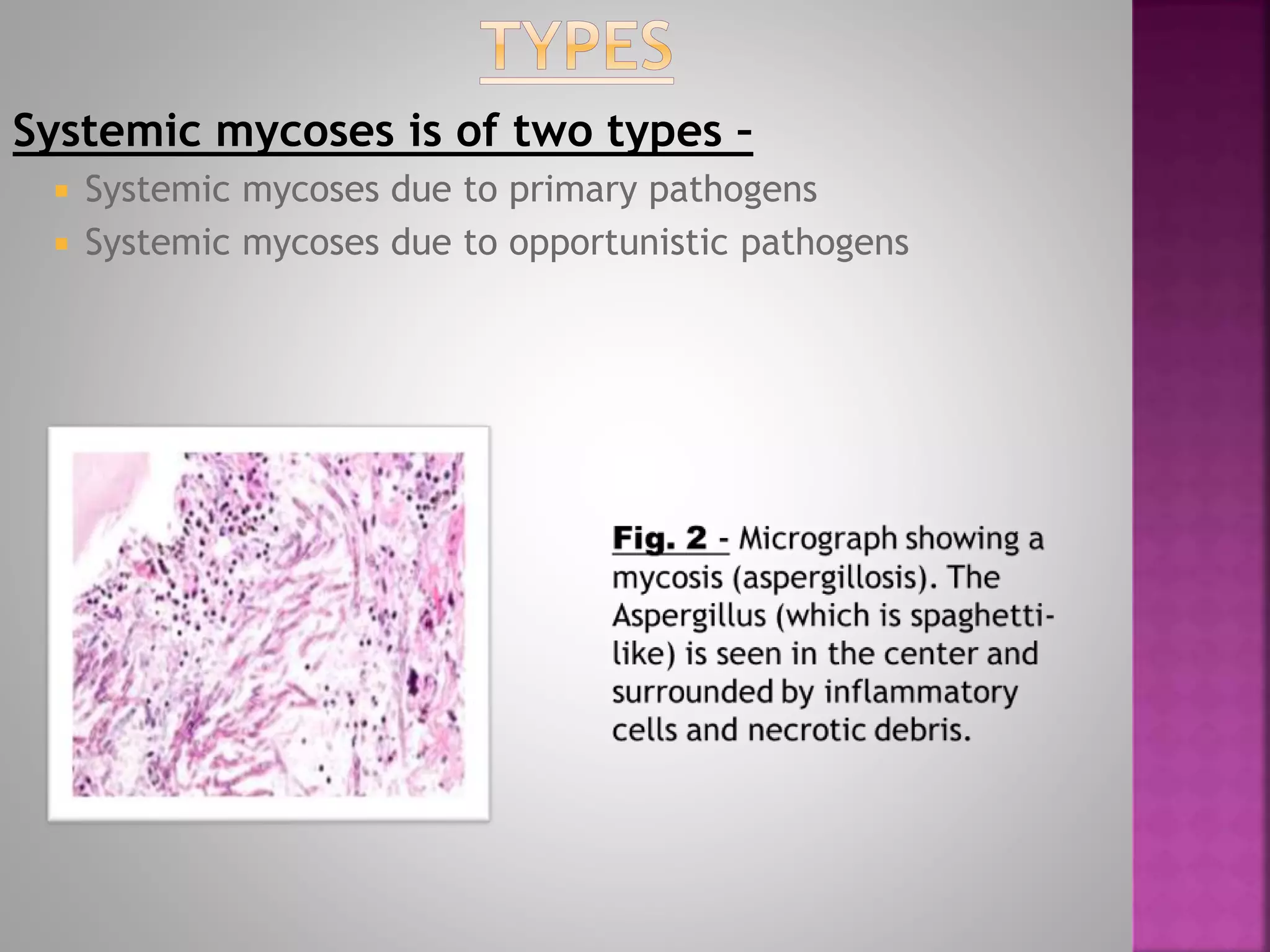 Systemic Mycoses | PPTX