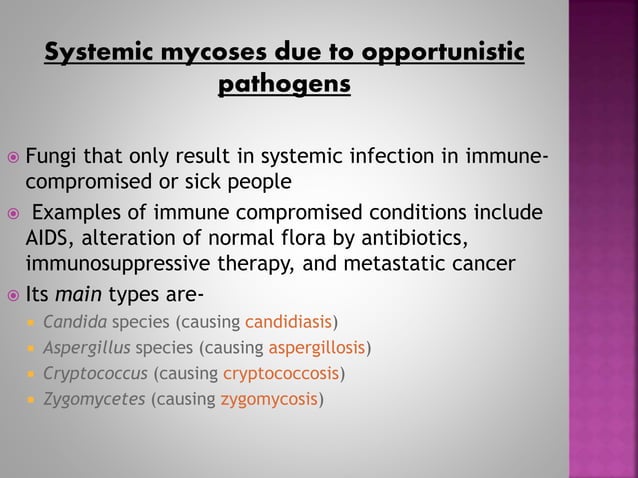 Systemic Mycoses | PPTX
