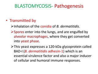 Systemic mycoses | PPTX