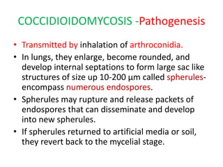 Systemic mycoses | PPTX