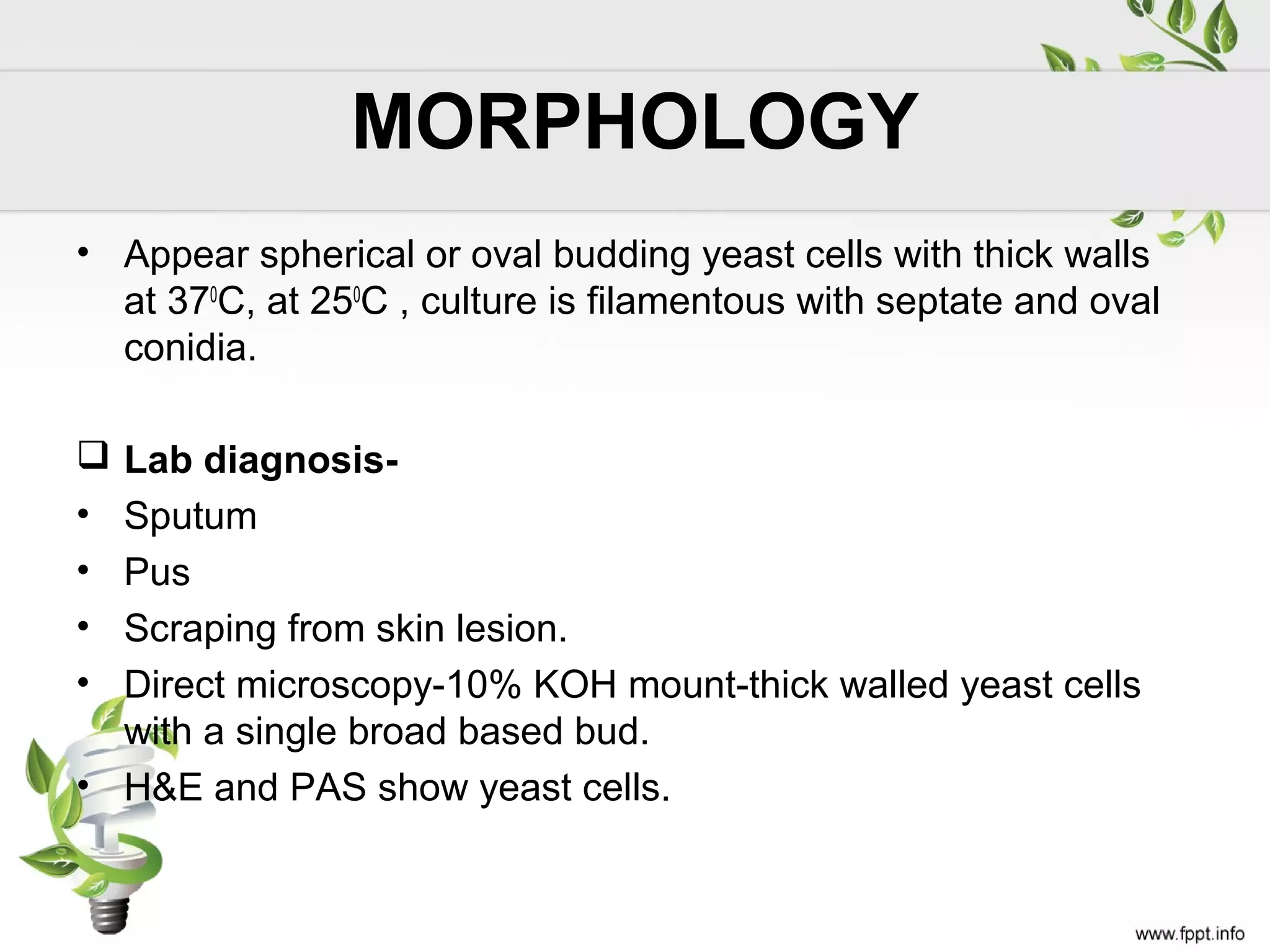 Systemic mycoses by Dr. Rakesh Prasad Sah | PPT