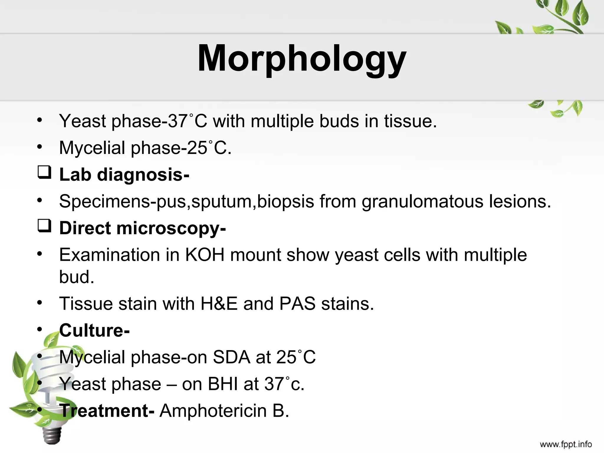 Systemic mycoses by Dr. Rakesh Prasad Sah | PPT