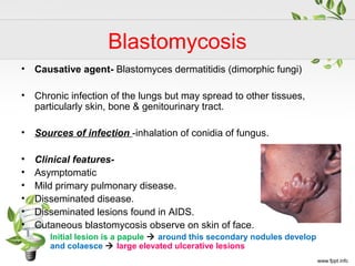 Systemic mycoses by Dr. Rakesh Prasad Sah | PPT
