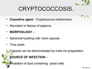 Systemic mycoses by Dr. Rakesh Prasad Sah | PPT