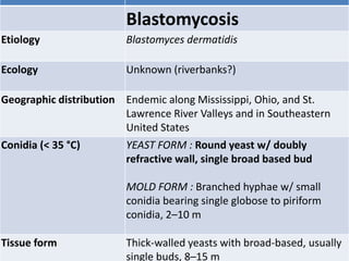 Systemic mycoses | PPTX