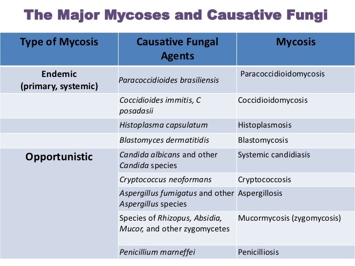 Systemic mycoses