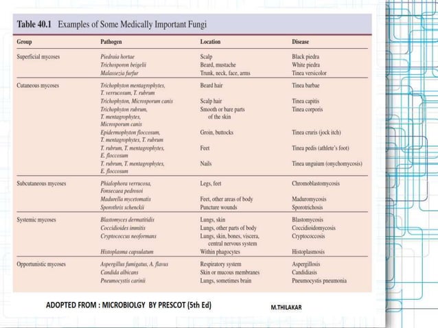 SYSTEMIC MYCOSES ` | PPSX | Skin and Dermatology | Diseases and Conditions