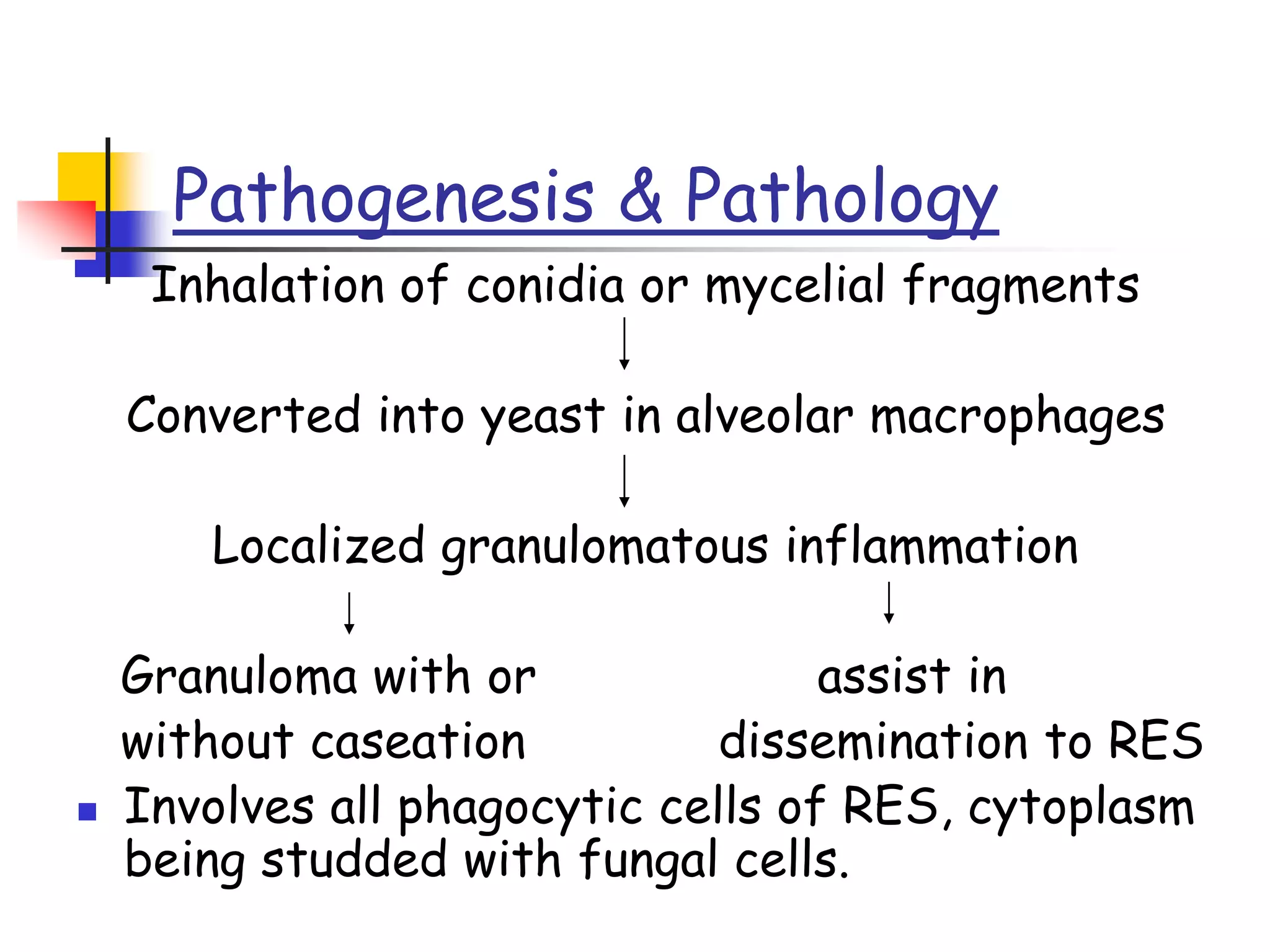 Systemic mycosis | PPT