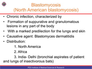 Systemic Mycosis | PPTX