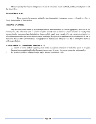 Systemic pathology cardiovascular system | PDF