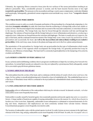 Systemic pathology cardiovascular system | PDF