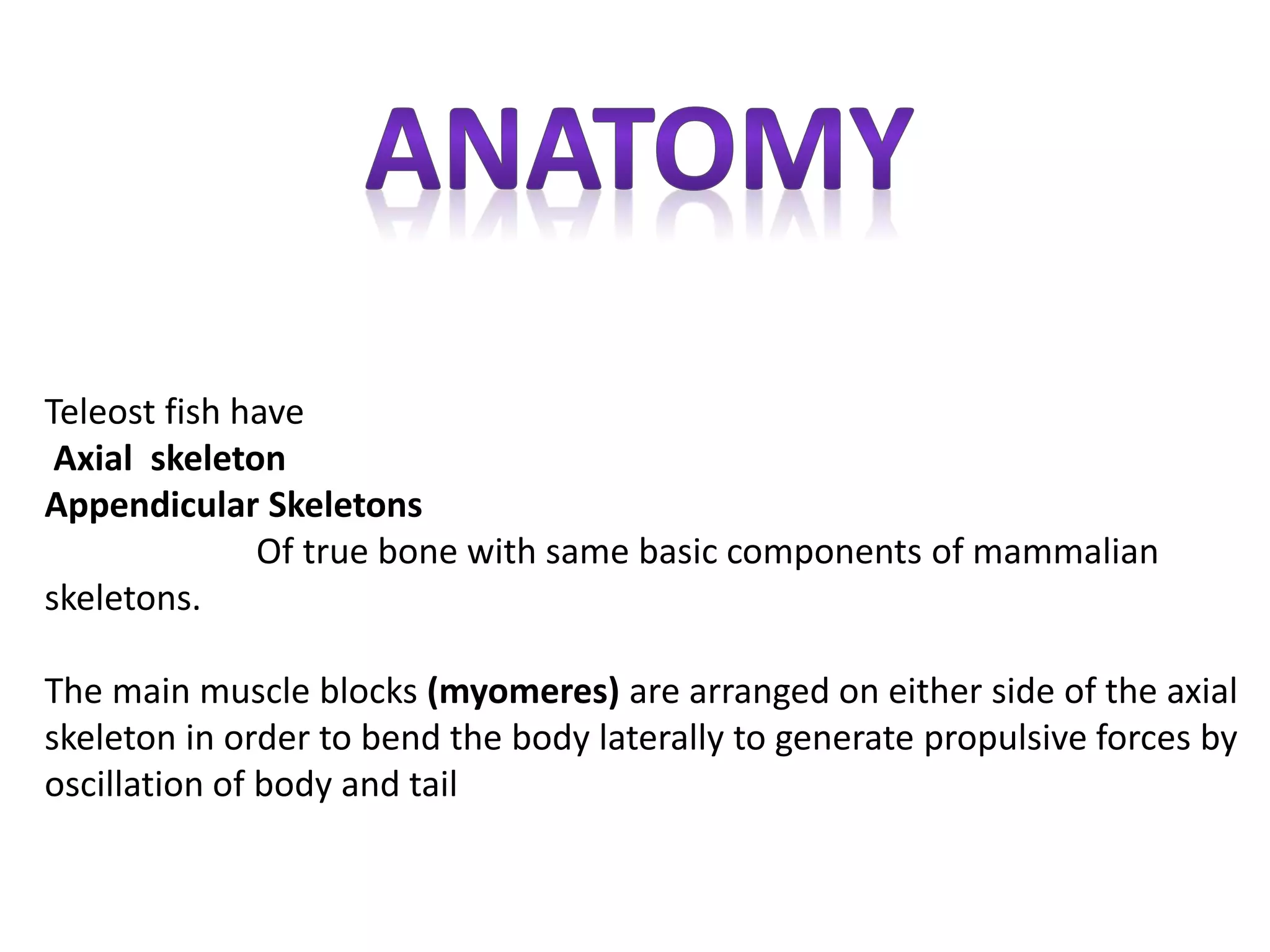 Systemic pathology - respiratory, musculoskeletal systems Of Fish | PPTX