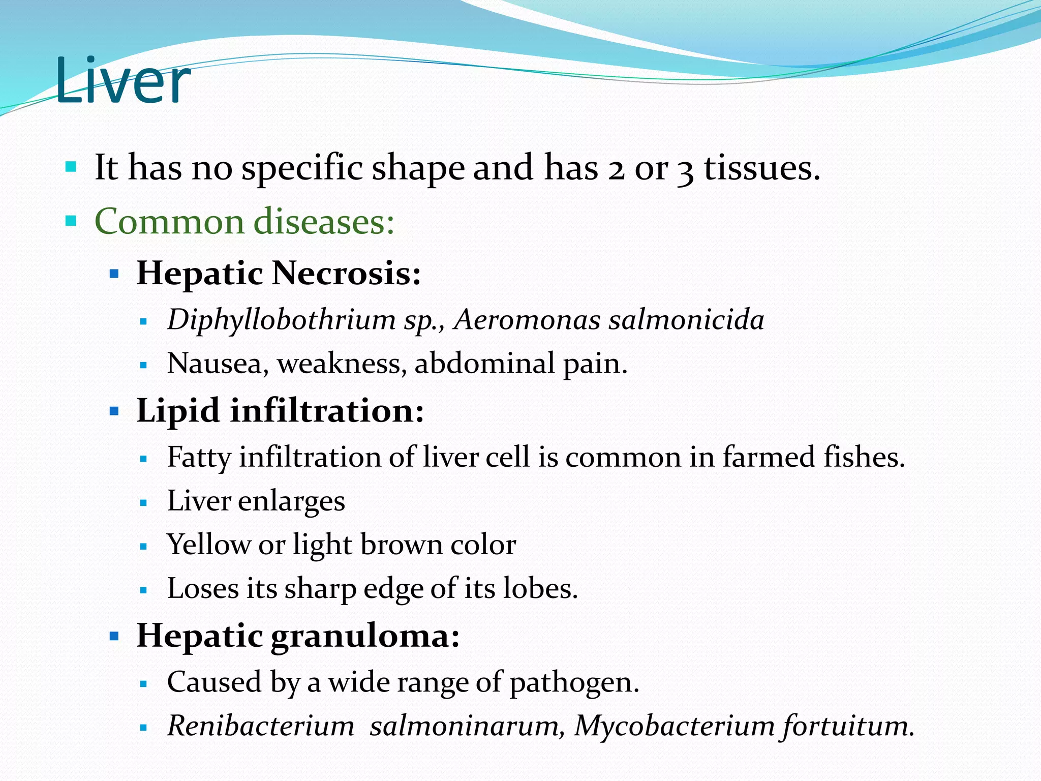 Systemic Pathology of Digestive System of Fish | PPTX