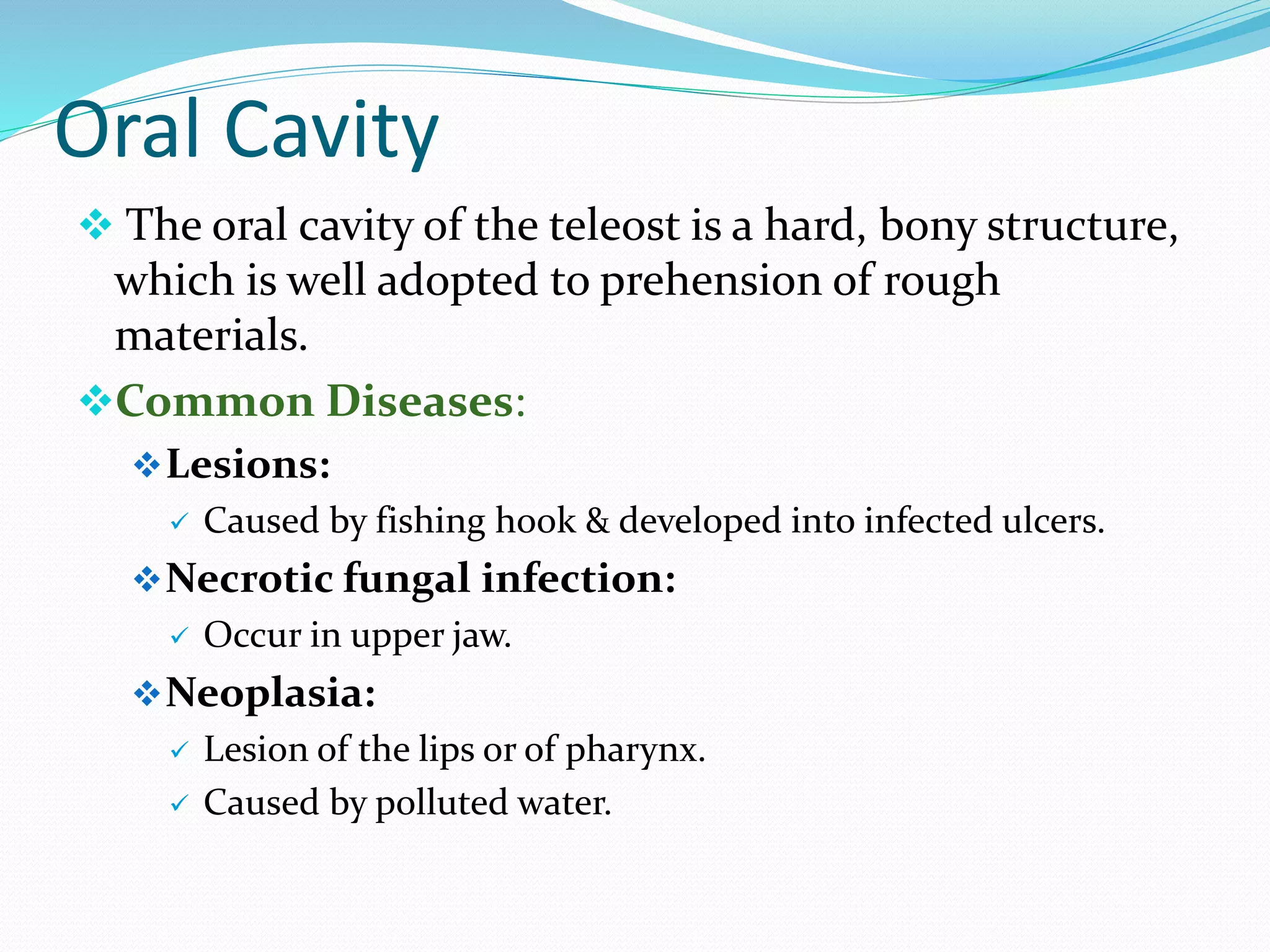 Systemic Pathology of Digestive System of Fish | PPTX