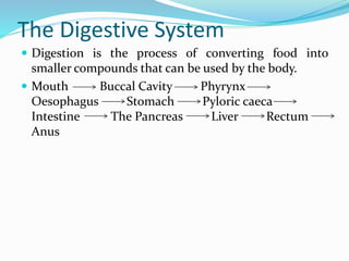 Systemic Pathology of Digestive System of Fish | PPTX