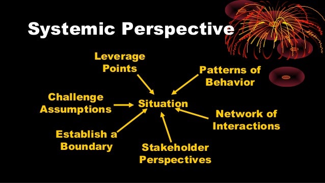 Systemic Perspective
