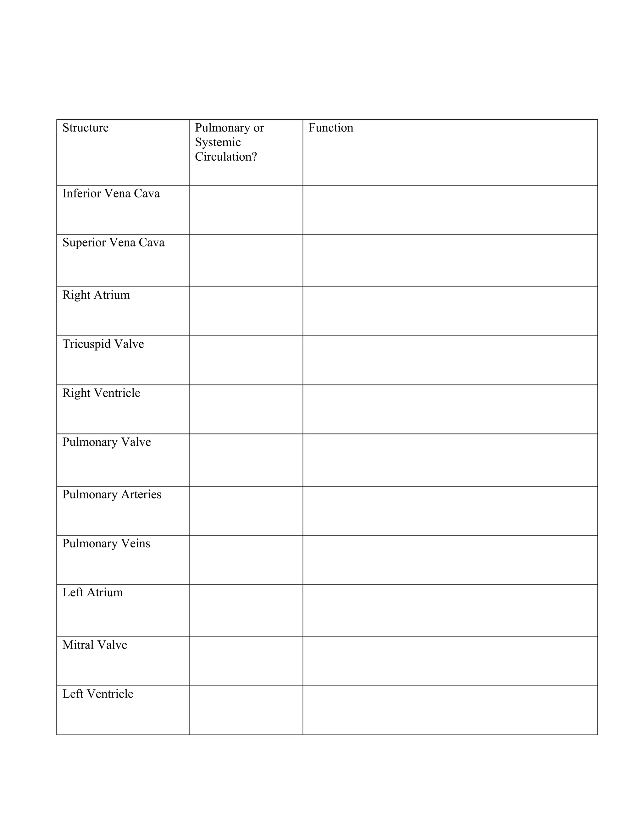 Systemicpulmonaryworksheet | DOC
