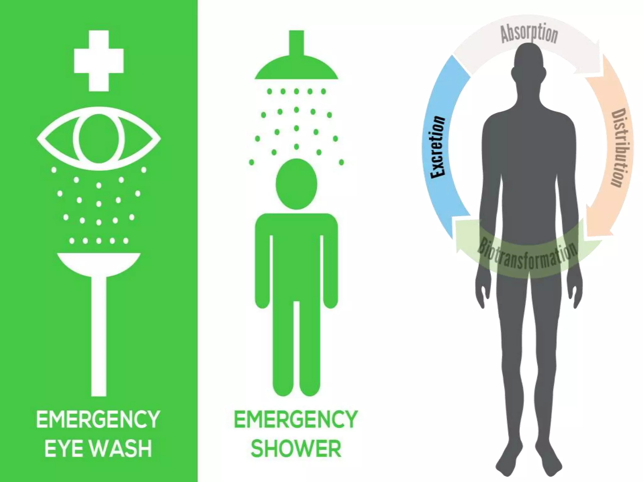 Systemic toxic effects | PPTX