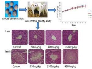 Systemic toxic effects | PPTX