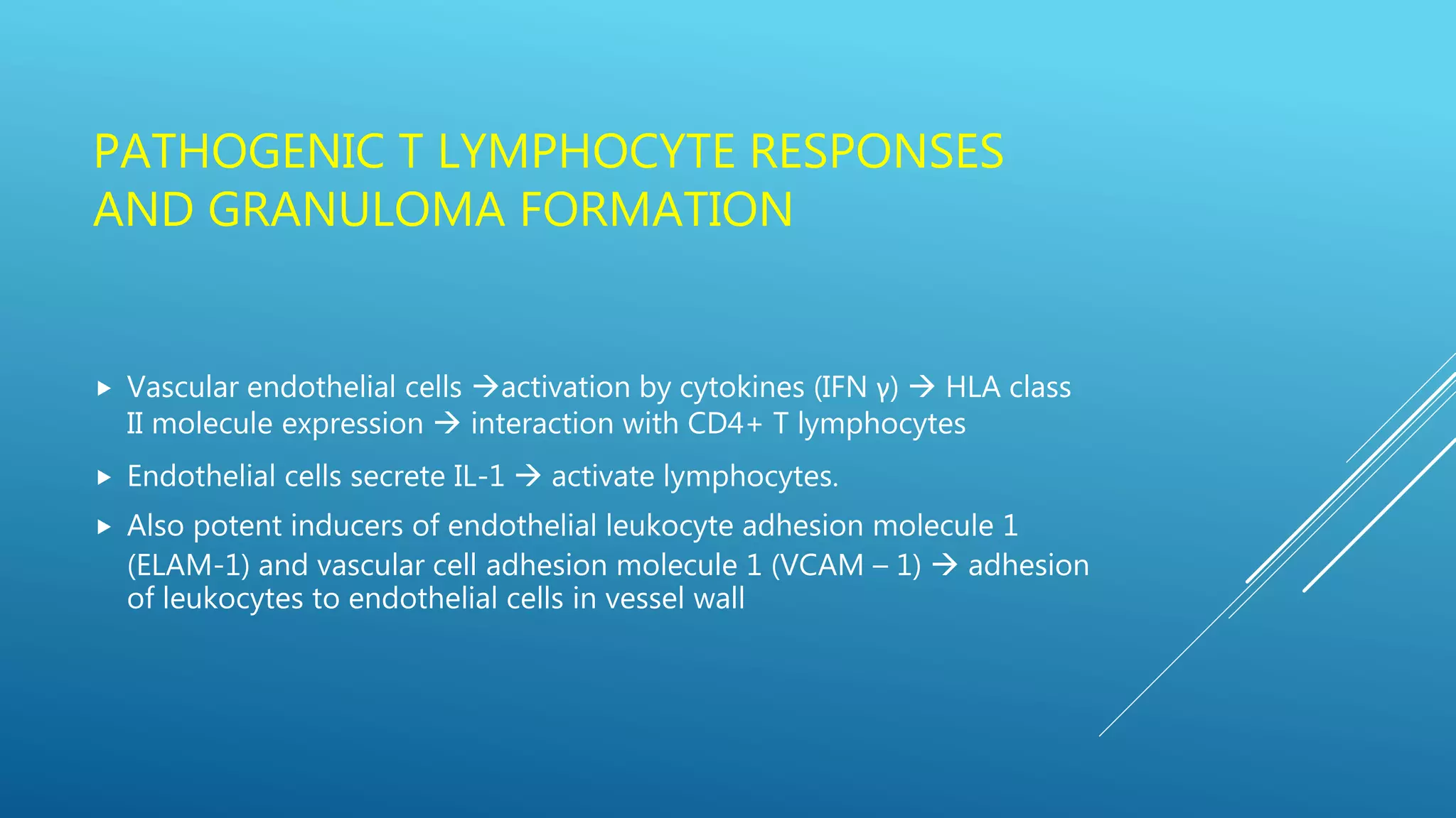 Systemic vasculitides - Wegener's Granulomatosis, Microscopic ...