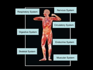 System interactions | PPT