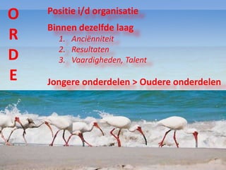 Systemisch kijken naar teams | PPTX