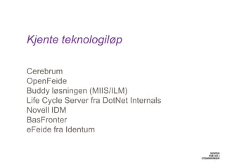 Systemkartlegging | PPTX