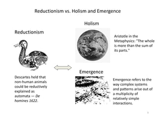 System Modelling and Metabolomics.pptx