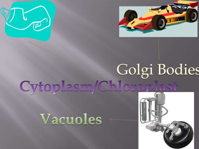 System of a cell | PPTX | Biological Sciences | Science