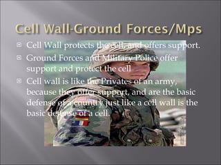 System of a cell related to an army | PPT