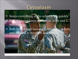 System of a cell related to an army | PPT
