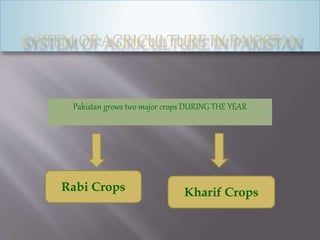 System of agriculture in pakistan | PPTX
