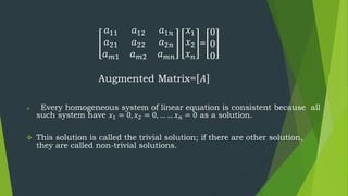 System of Homogeneous and Non-Homogeneous equations ppt nadi.pptx