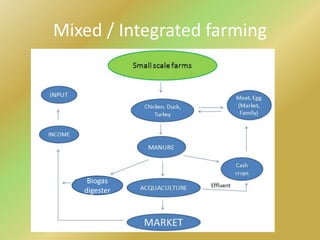 System of integration in broilers | PPTX