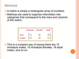 System of linear equation and matrices | PPT
