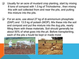 System of mustard intensification SMI | PPTX