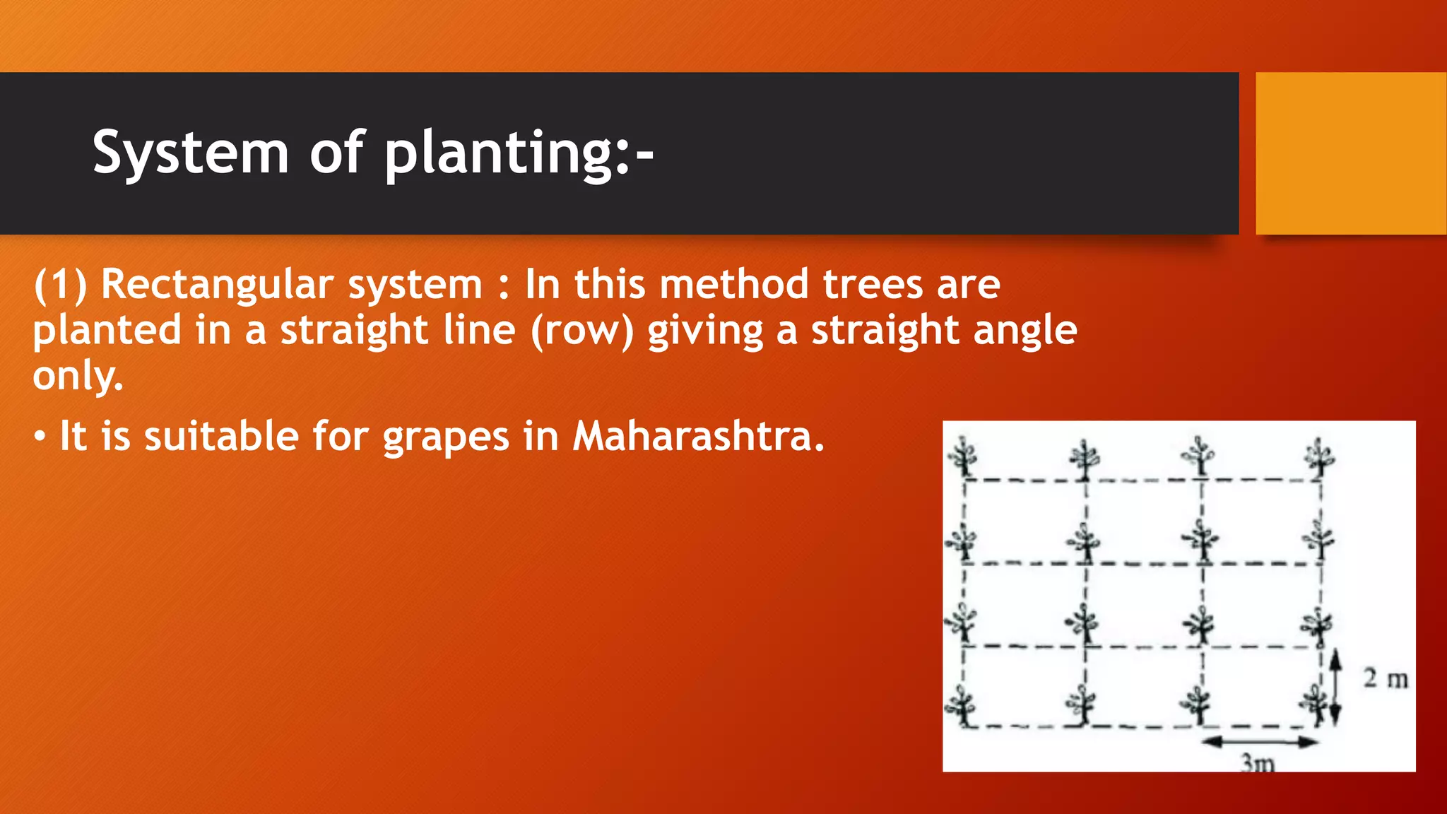 System of planting and types | PPTX